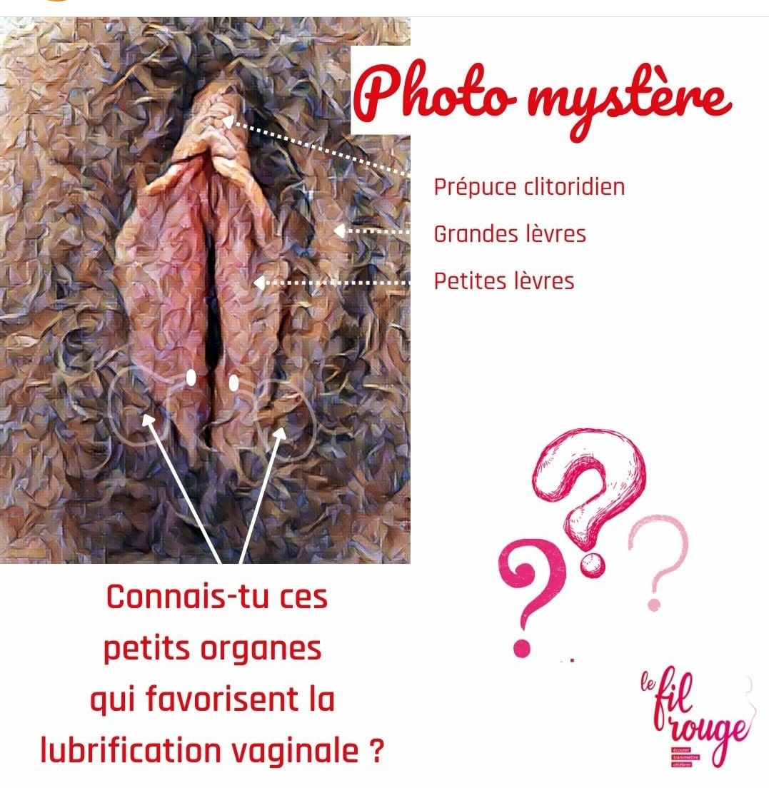 Couleur De La Vulve Normale | Couleur Des Vulves Femme – DQMT